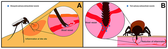 私のSheddInG体験記 – rokkaku